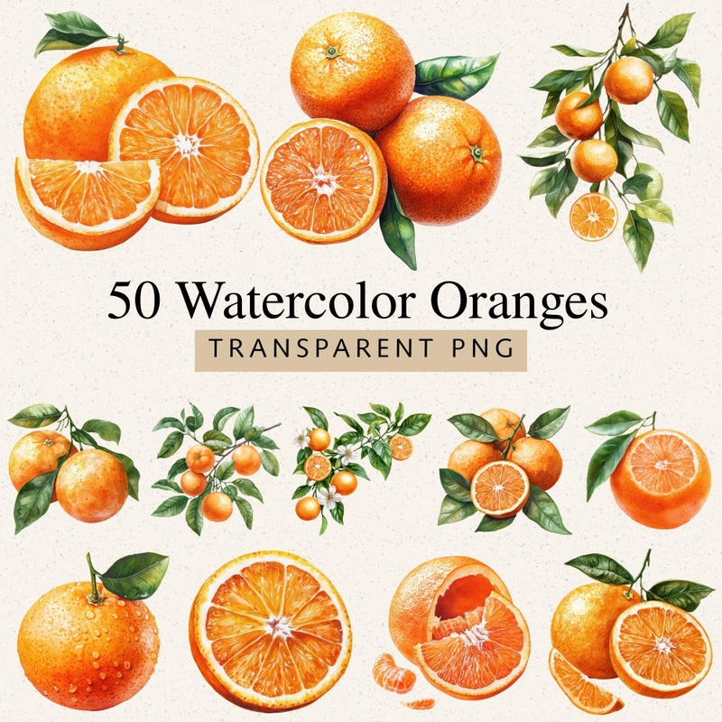 Oranges Clipart - Etsy