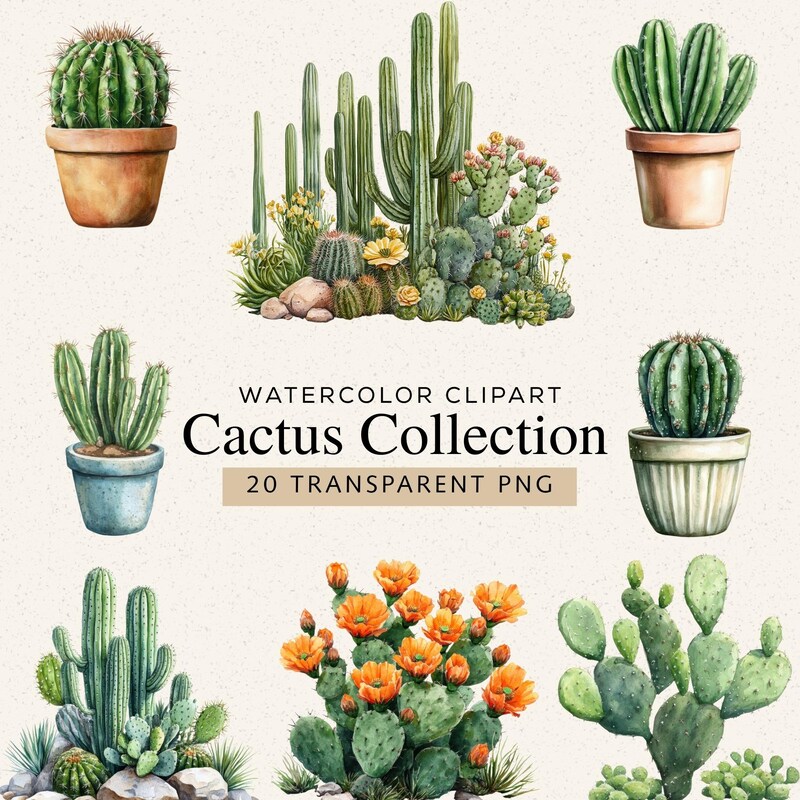 Cactus Plant Png - Etsy