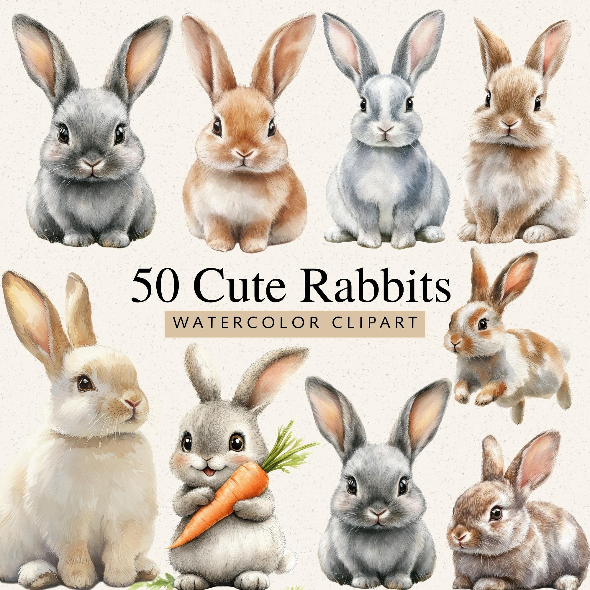 Watercolor Rabbit Clipart, Soft Bunny PNG Images (50 Files, Digital ...