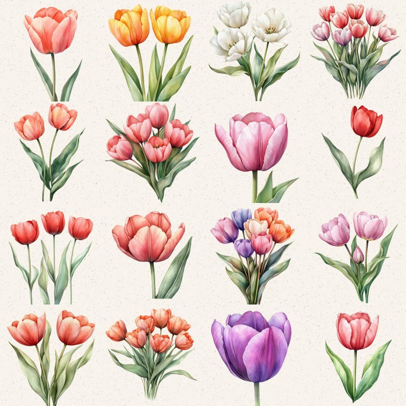 Watercolor Tulips Clipart, 63 PNG Images, Botanical Floral Illustration ...