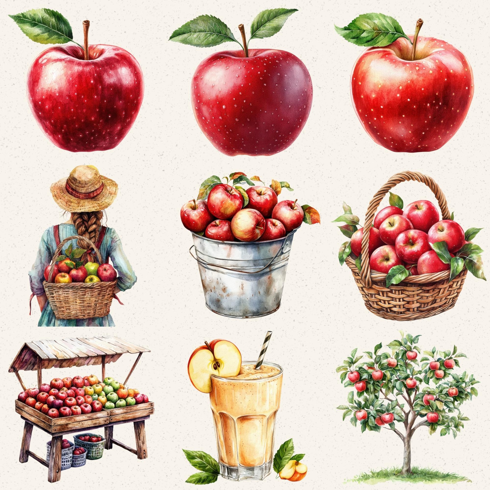 Watercolor Apple Clipart, 67 PNG Images, Red Fruit Illustration ...