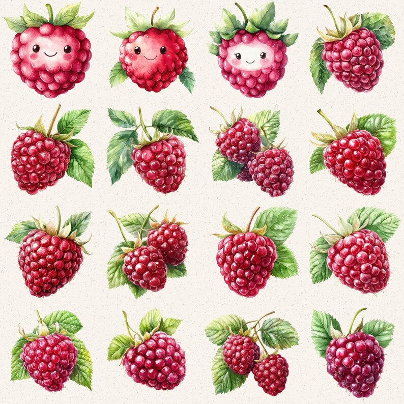 Watercolor Raspberry Clipart, Fresh Berry Illustration, Kitchen Fruit ...