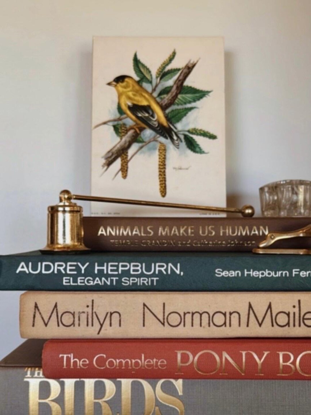 1950’s Goldfinch Lithograph Print by PH Gonner | Donald Art Co. - Etsy