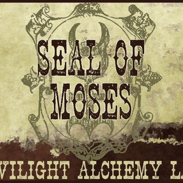 Seal of Moses - Etsy