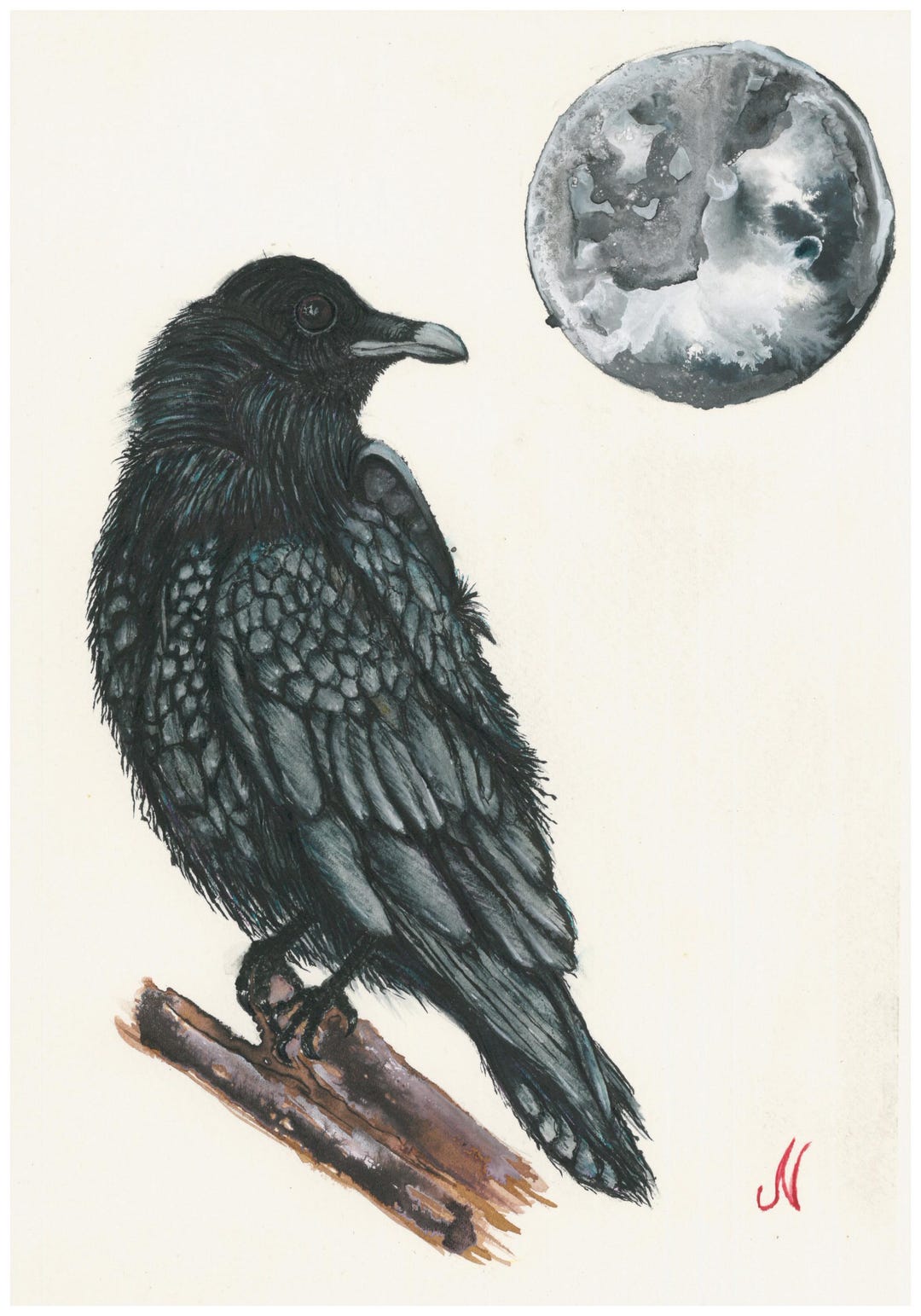 Moonlit Raven Ink Drawing, Stoic Bird Art (7"x10") - Etsy
