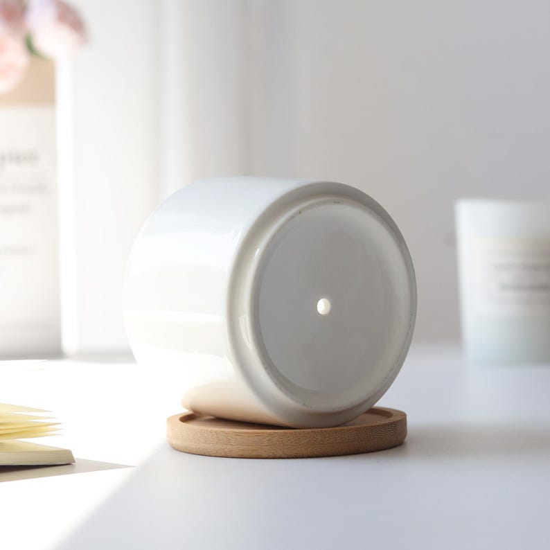 Teacher Appreciation Succulent Planter, Thank You Teacher Gift, End of ...