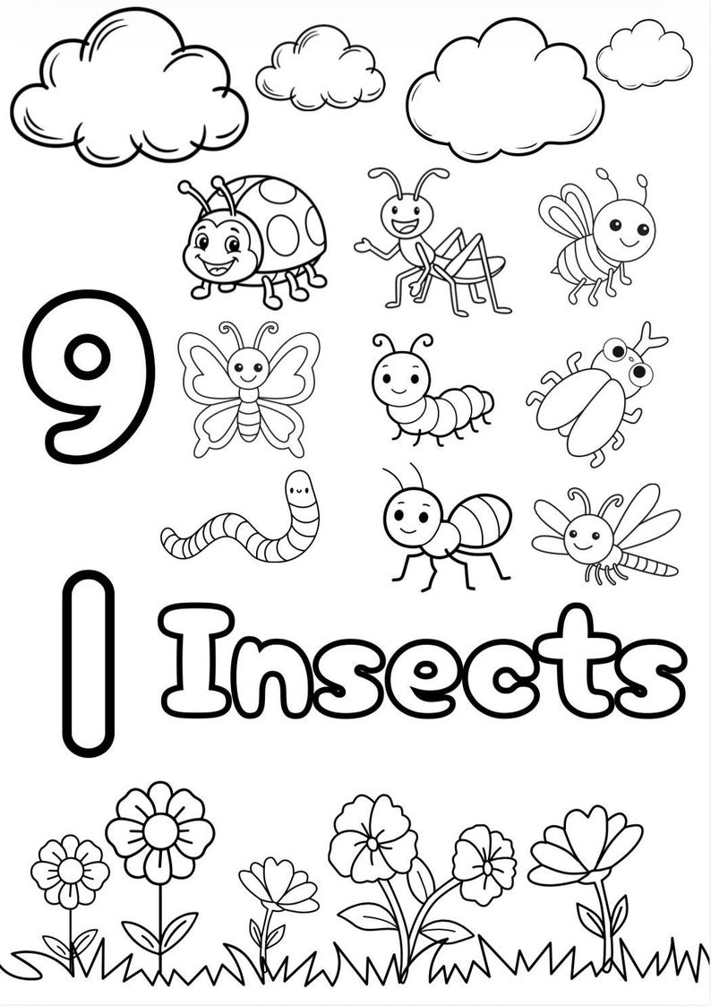 Learn&color - Number and Letters Printable Pages - Etsy