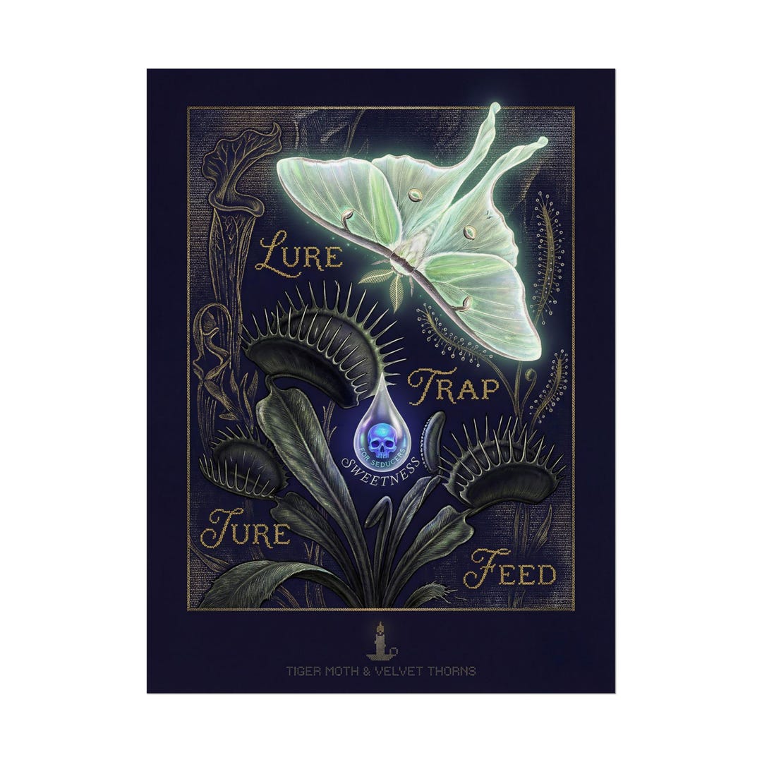 She Lured Her Shadows With Sweetness Rolled Poster | Vintage Dark ...