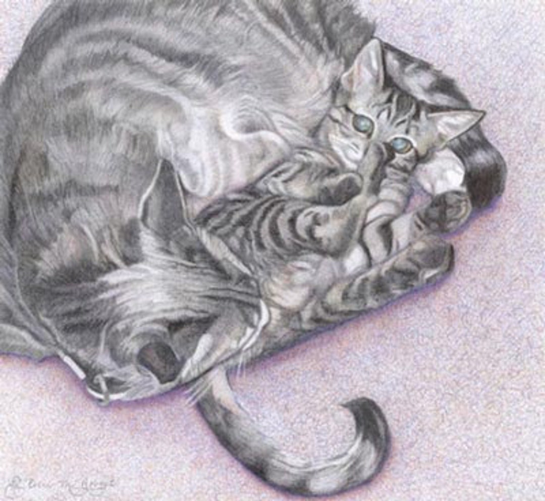 Tabby Cat Portrait Notecards From Original Pencil Drawing the Godchild ...