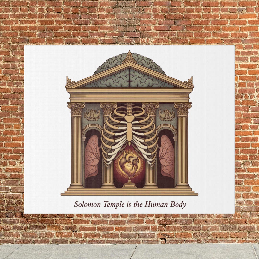 Solomon Temple Anatomy Illustration Classic Stretched Canvas | Ribcage ...