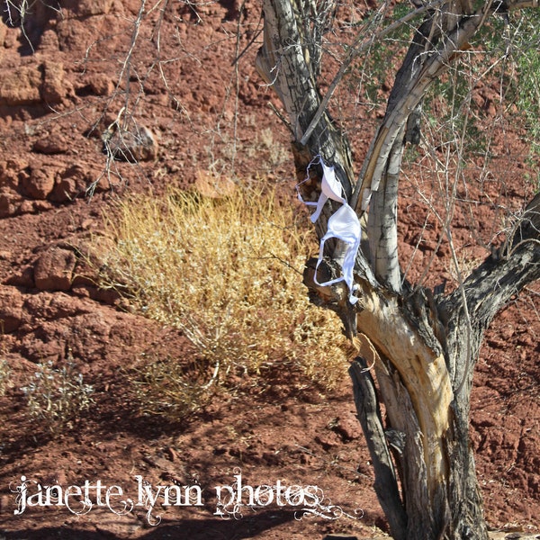 Cancer Rock Art - Etsy