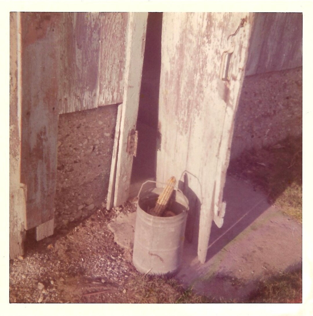 Vintage Still Life Photo: Corn Cob, Tin Bucket, Barn Door - Etsy