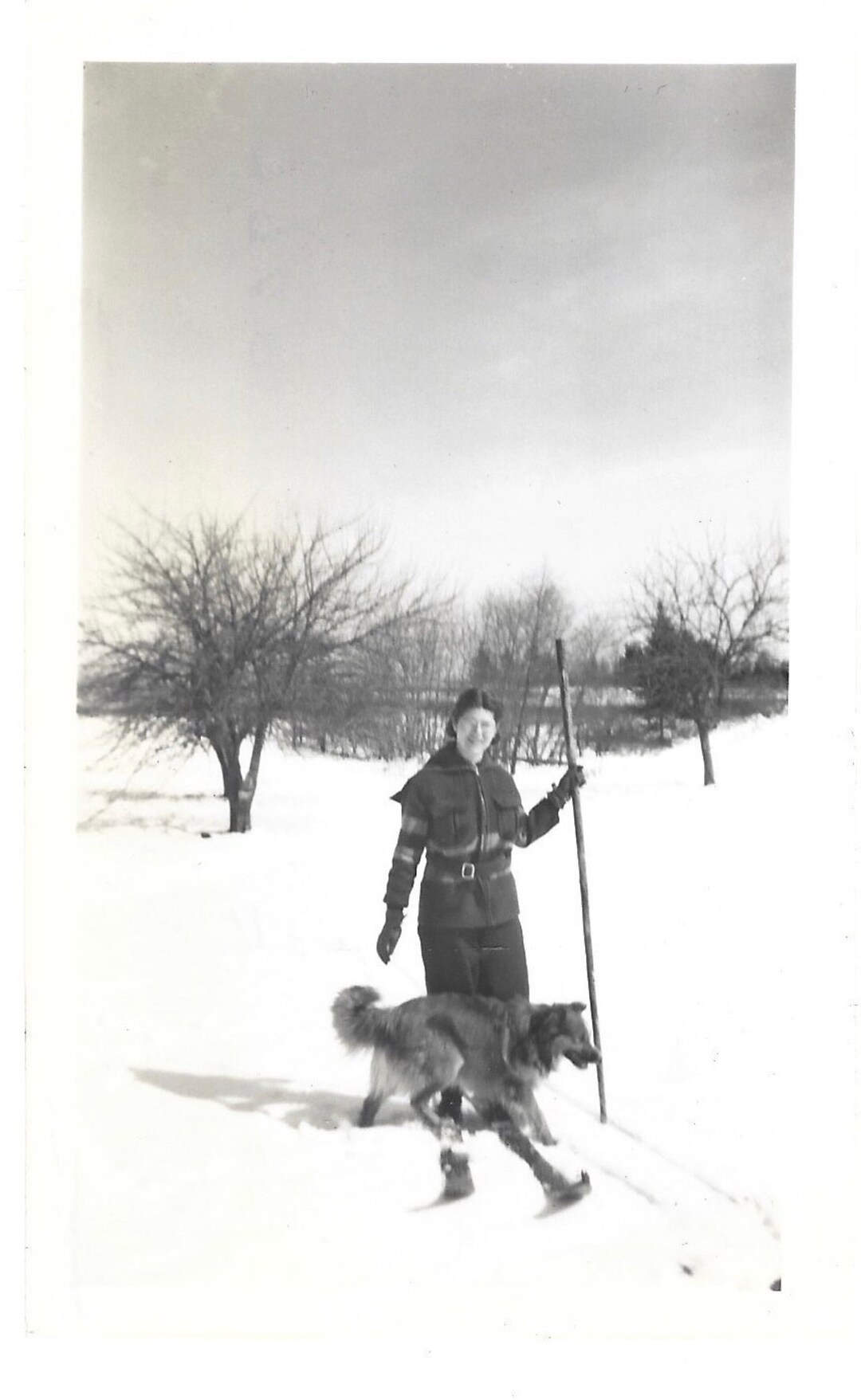 Determined Dog Bounds Across Woman’s Skis Vintage Photo Mixed Breed ...