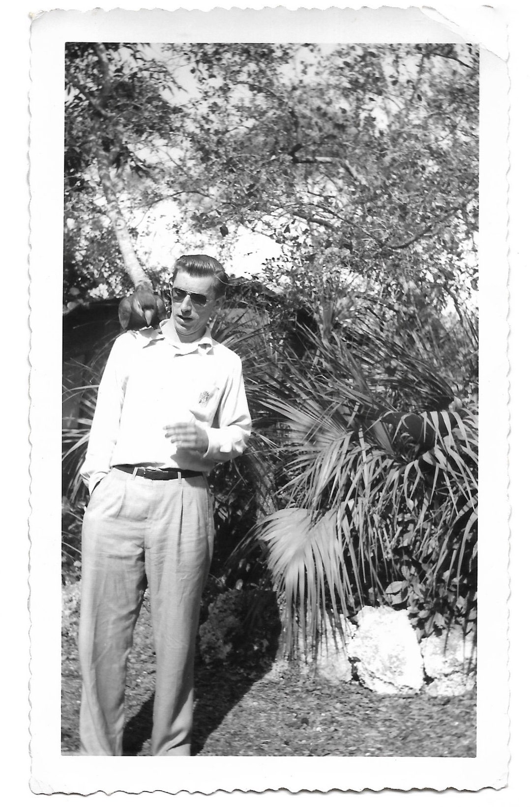 Parrot on His Shoulder Vintage Snapshot Man Visits Nature Park 1950’s ...