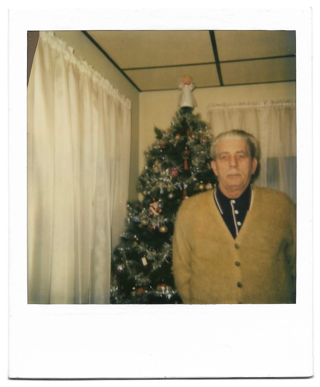 Serious Man Wearing Perry Como Sweater Poses Next to Christmas Tree ...
