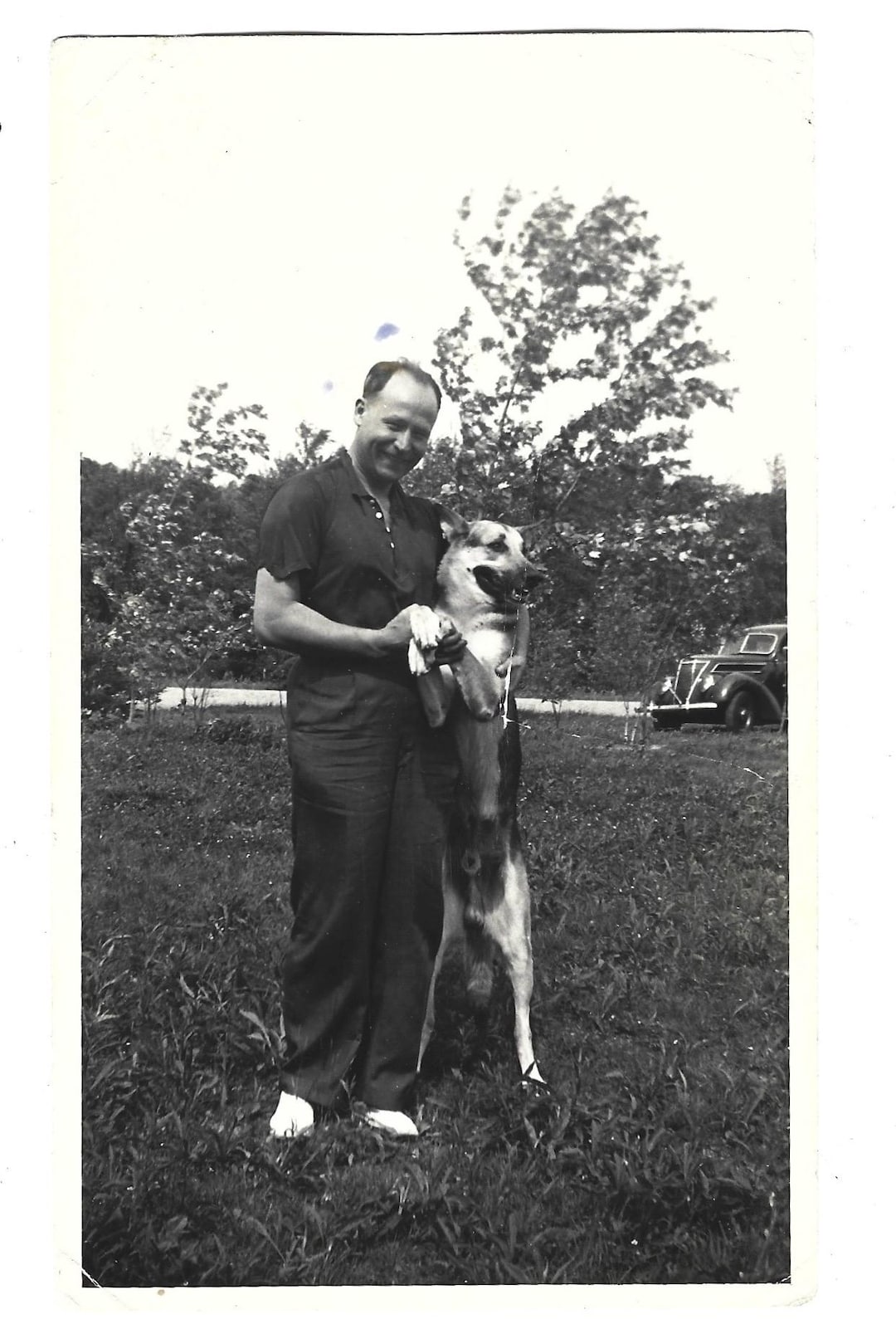 German Shepherd Dog Vintage Photo Smiling Man & Alsatian Pedigree Dog ...