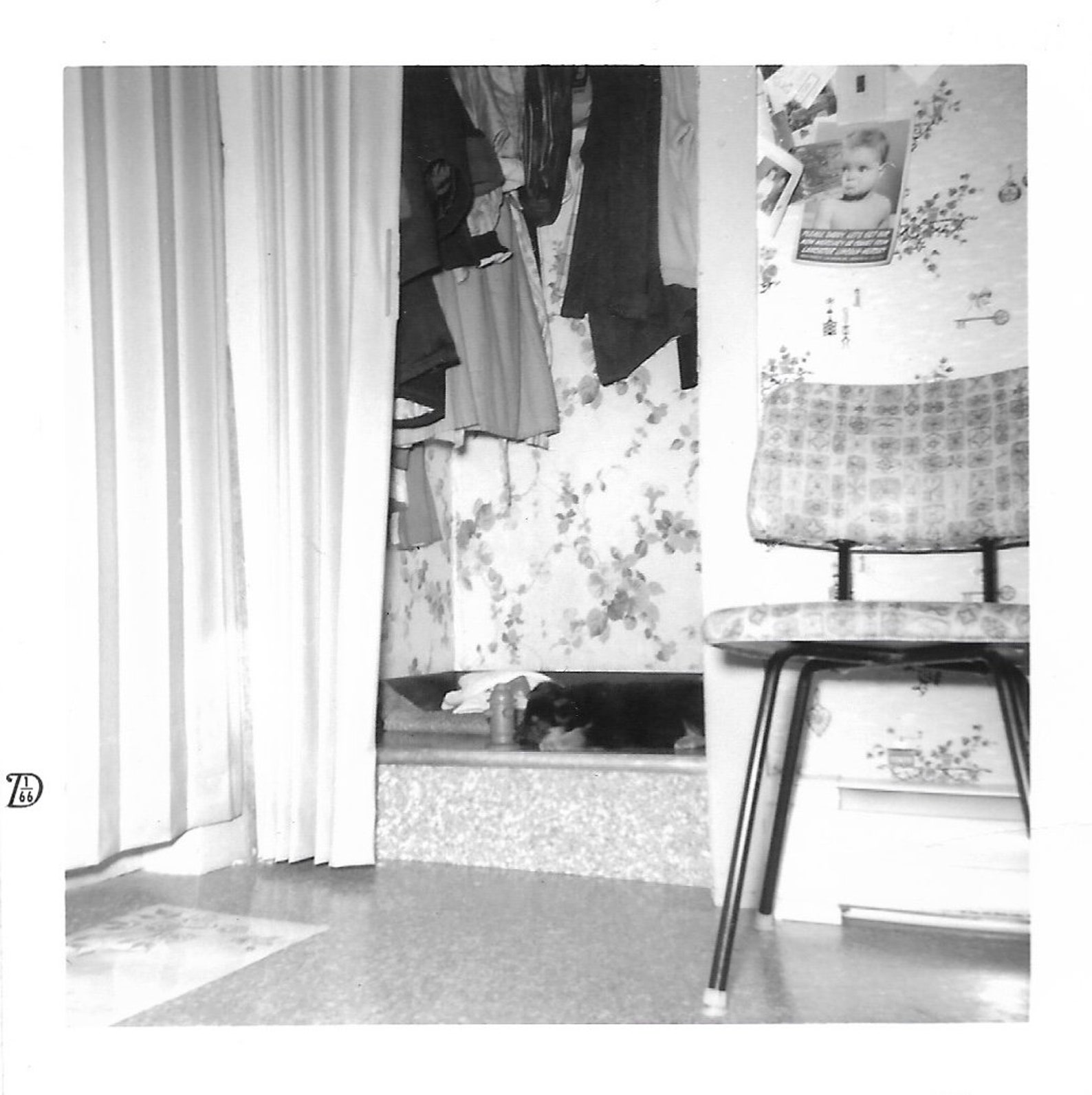 Little Puppy Big Paws Sleeping in the Closet Vintage Snapshot - Etsy