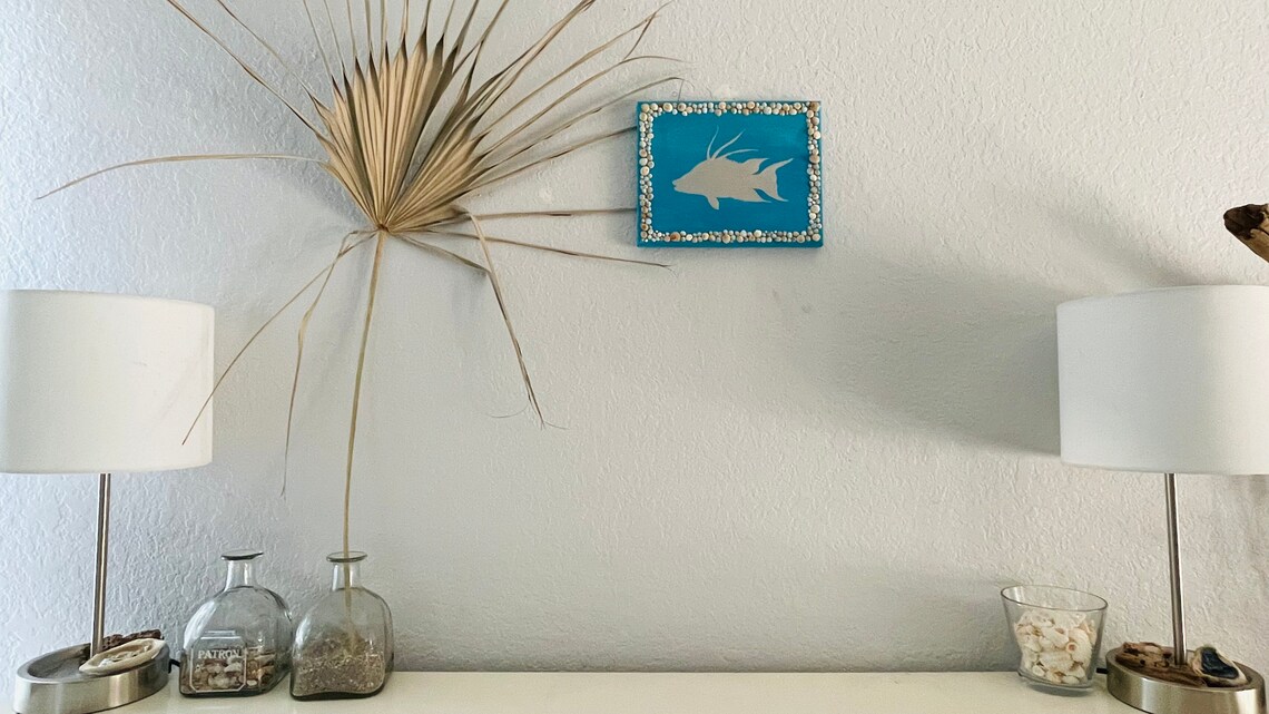 Hogfish Seashell Mosaic Turquoise & Silver With Cats Eye Shells on ...