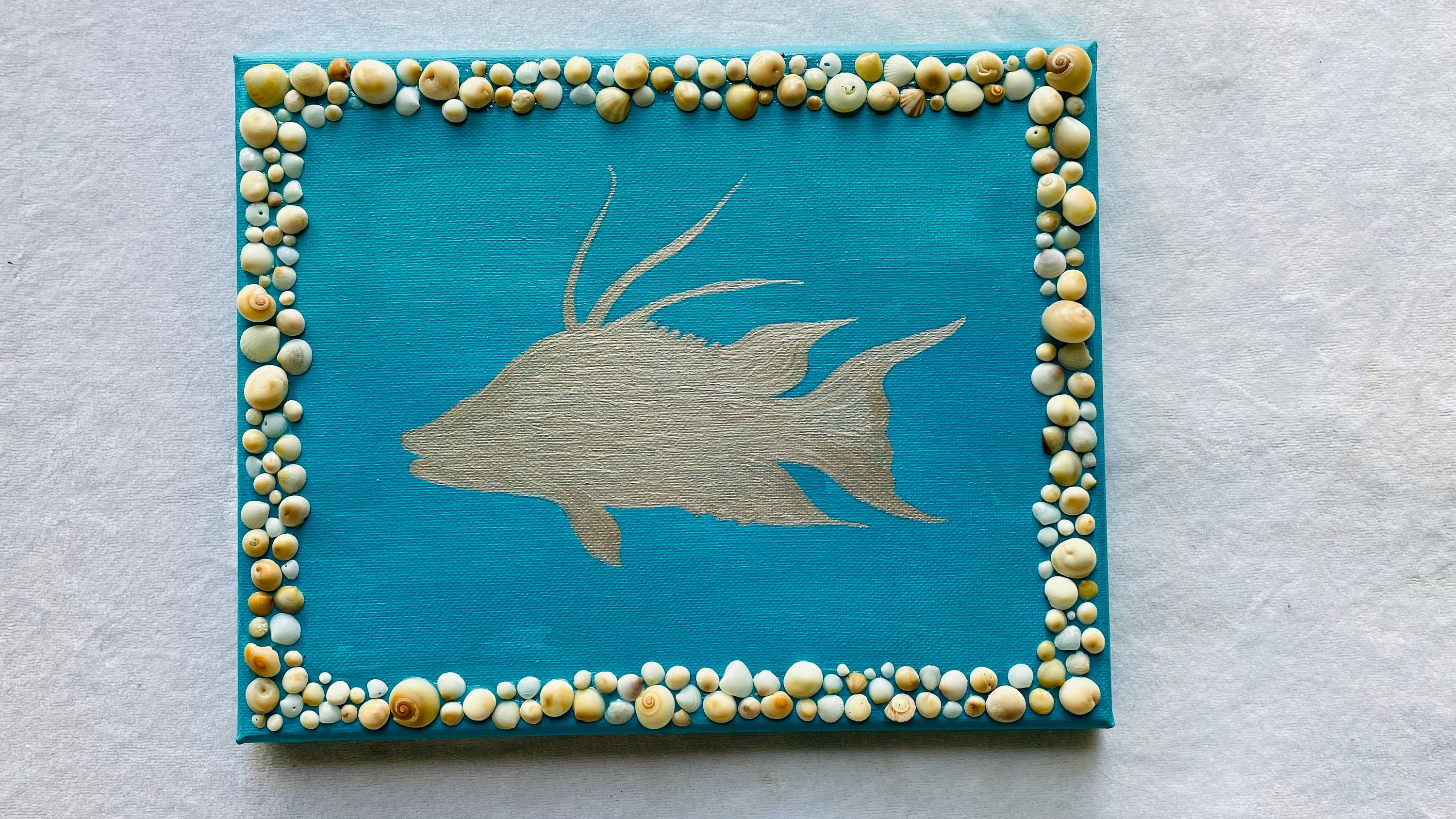 Hogfish Seashell Mosaic Turquoise & Silver With Cats Eye Shells on ...