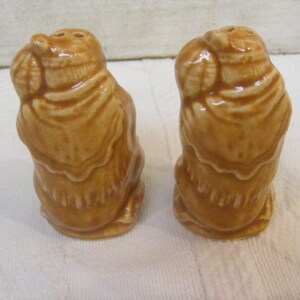 Native American Salt and Pepper Shakers, Indian Woman and Baby Salt and ...
