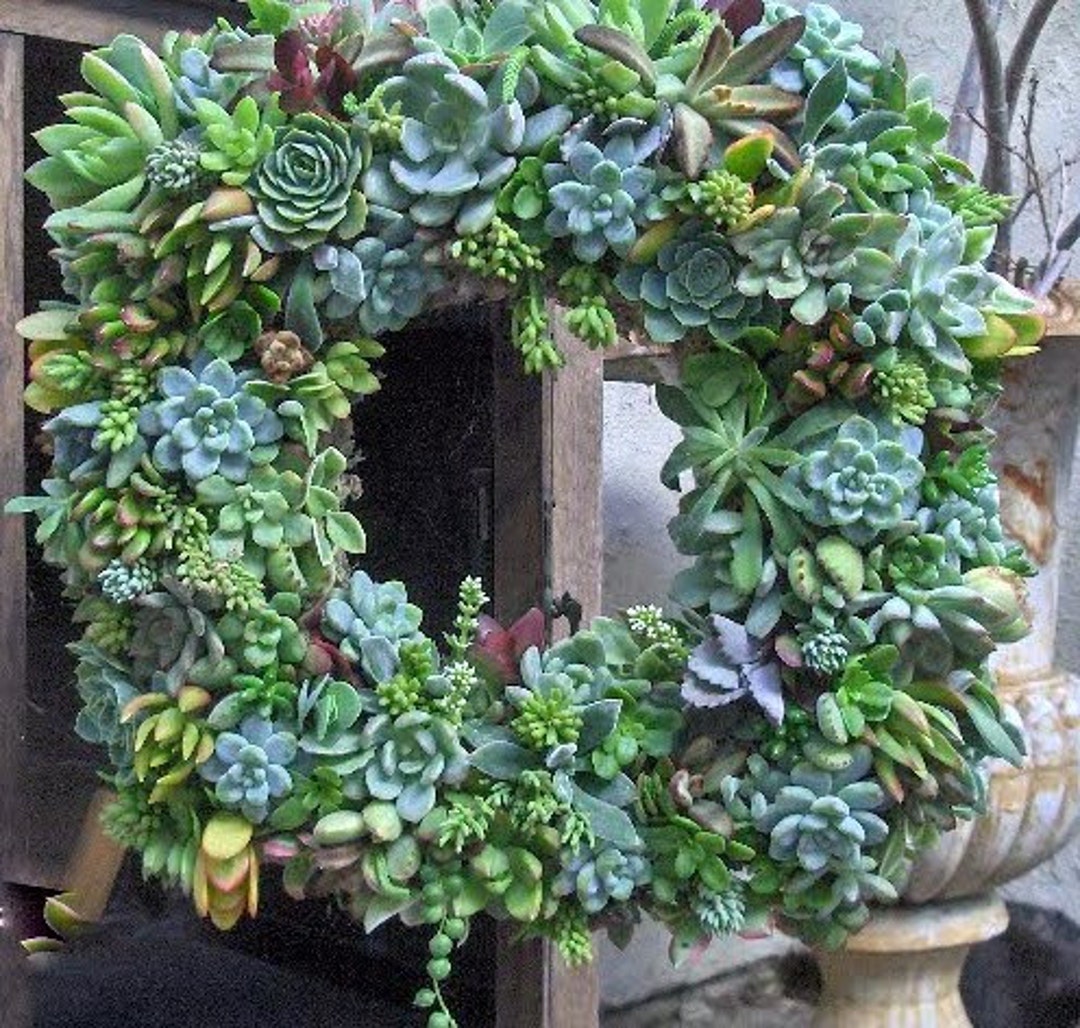 Square Succulent Wreath: Autumn Thanksgiving Centerpiece - Etsy