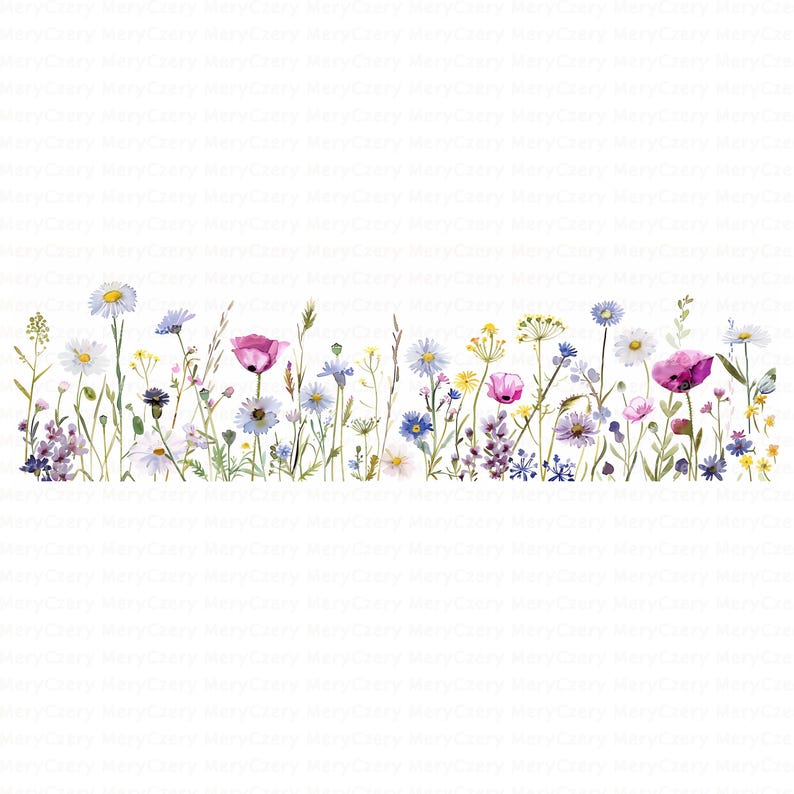 Wildflower Daisy Watercolor Border Clipart, Floral Horizontal Divider ...