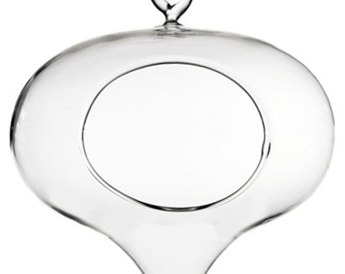 6 Hanging Glass UFO Capsule Plant Orb/terrarium | Etsy