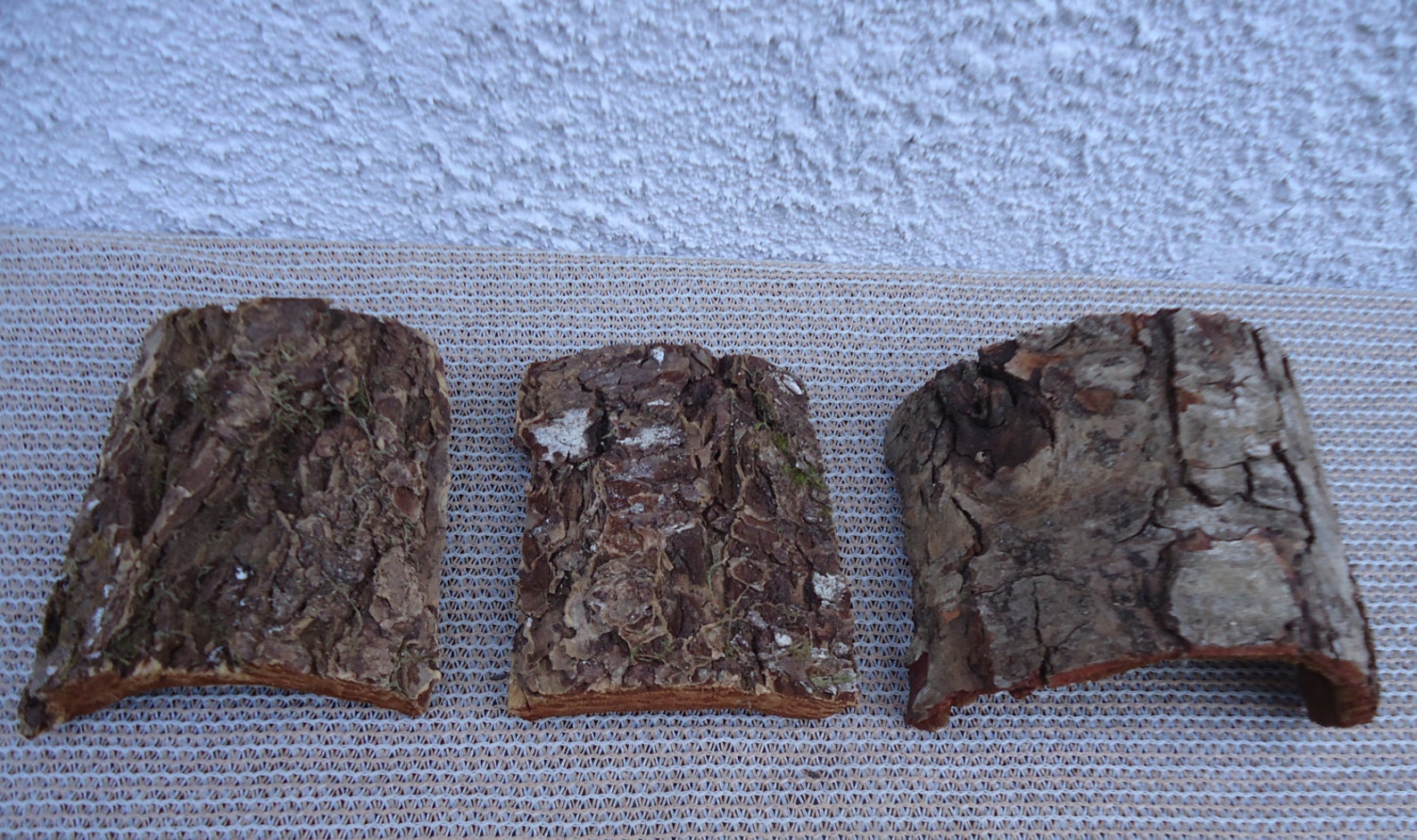 3 Pack Small Tree Bark Tiles for Mounting Air Plants - Etsy