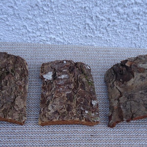 3 Pack Small Tree Bark Tiles for Mounting Air Plants - Etsy