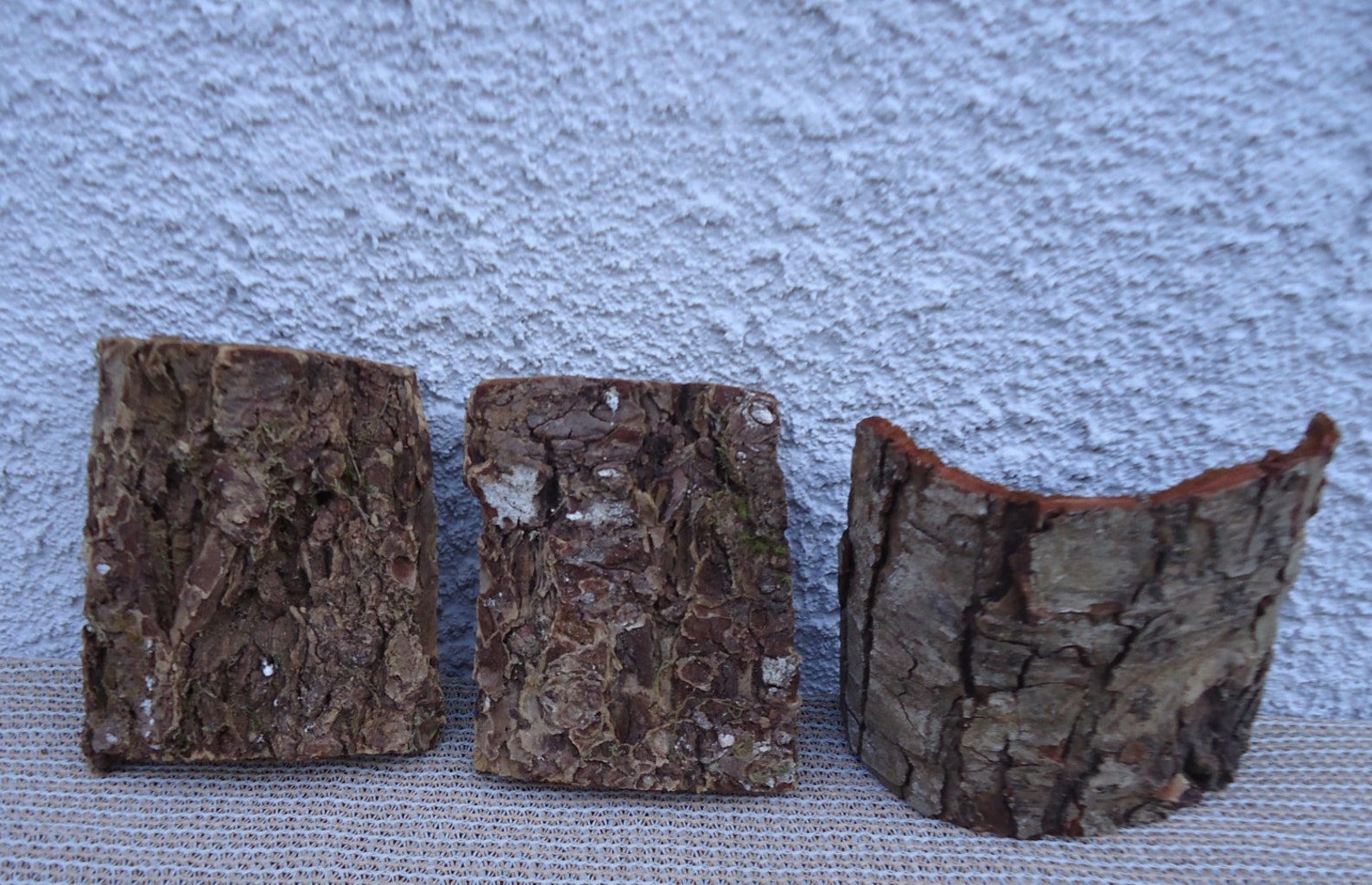 3 Pack Small Tree Bark Tiles Perfect for Mounting Air Plants - Etsy