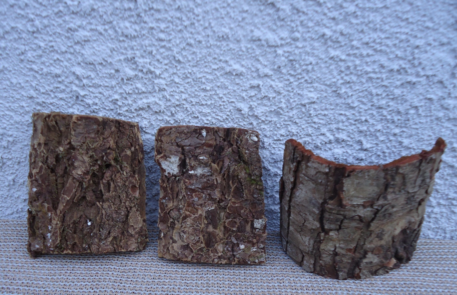 3 Pack Small Tree Bark Tiles for Mounting Air Plants - Etsy