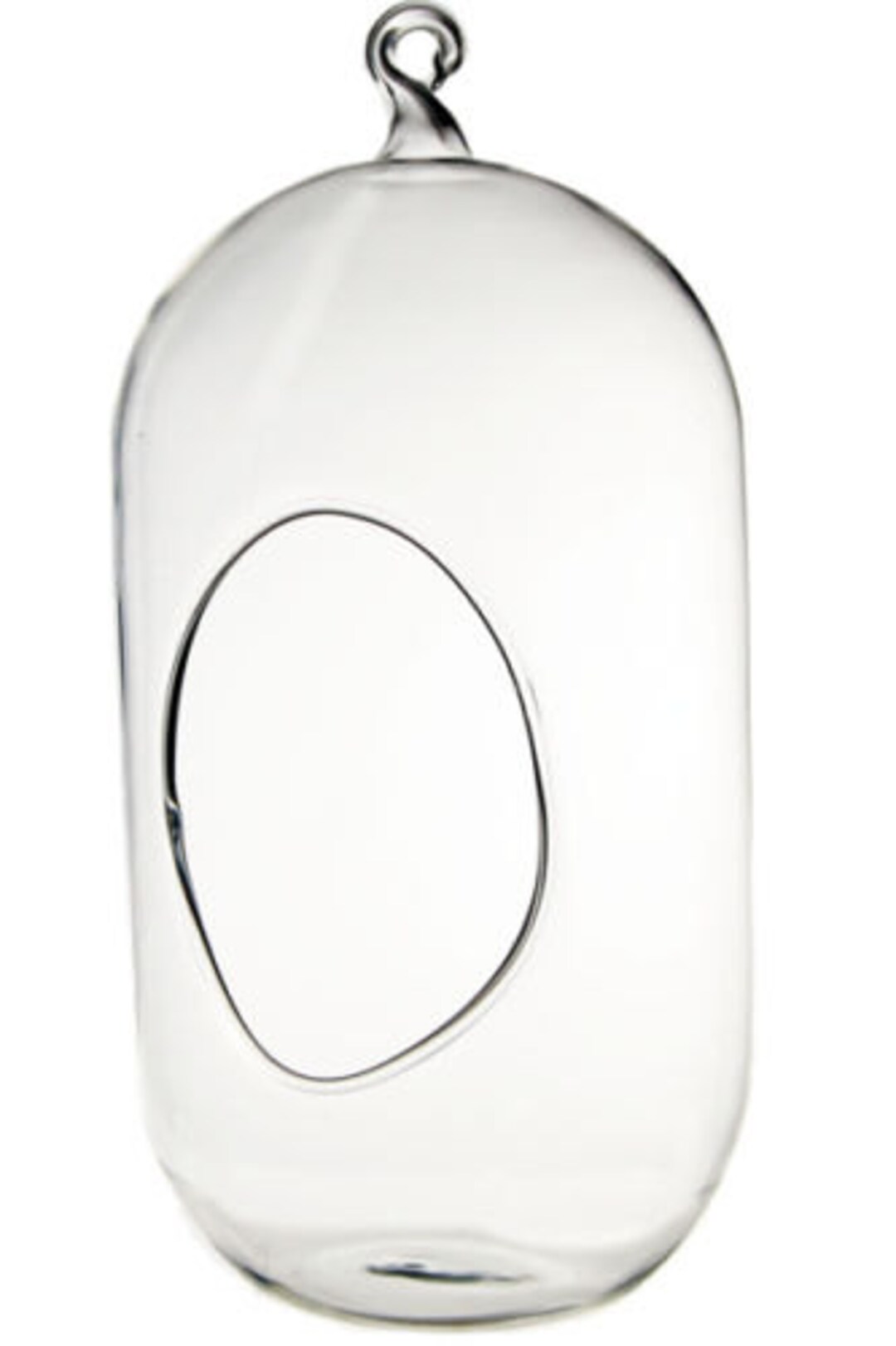 X-large 12 Glass Capsule Plant Orb/terrarium - Etsy