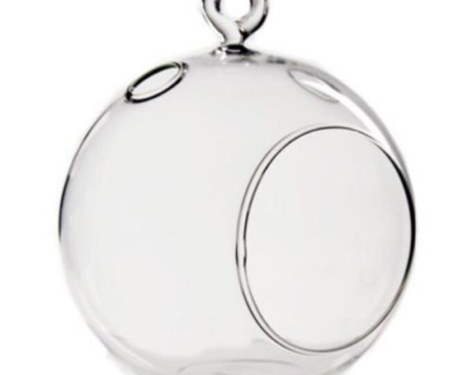 X-large 9" Glass Plant Orb/terrarium - Etsy