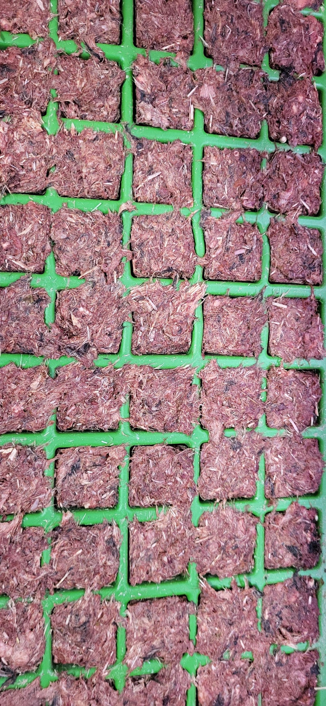 Raw Freeze Dried Whole Ground Quail Treats for Dogs and Cats-large ...