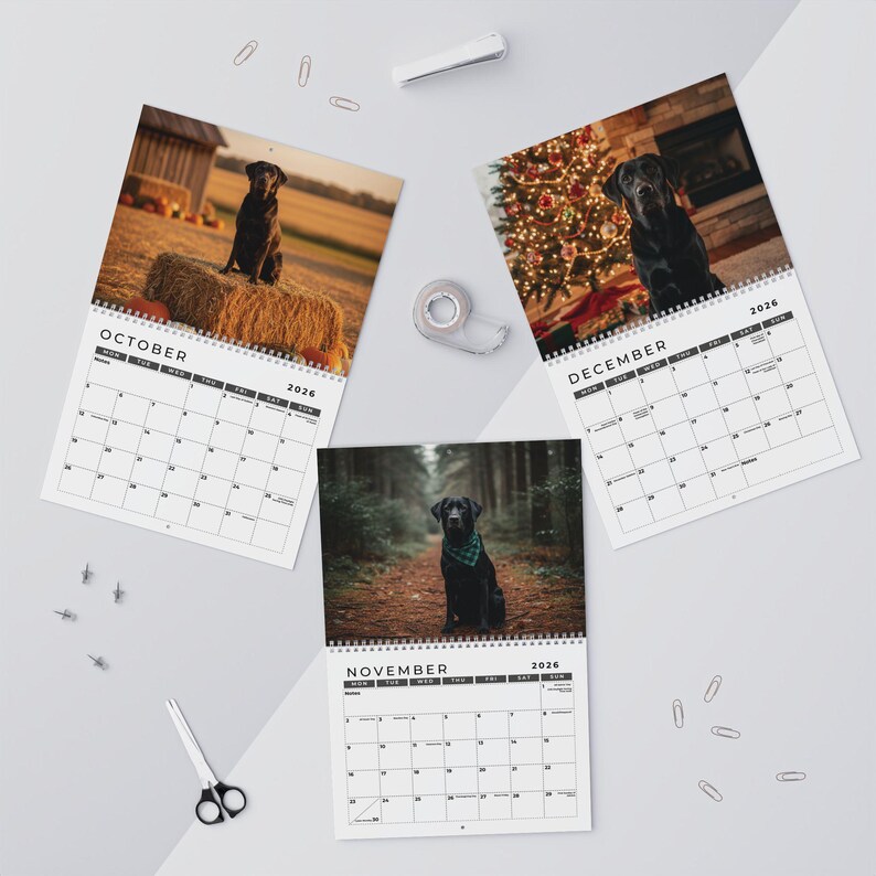 2026 Black Labrador Wall Calendar | Black Labrador Art Print | 12 Month ...