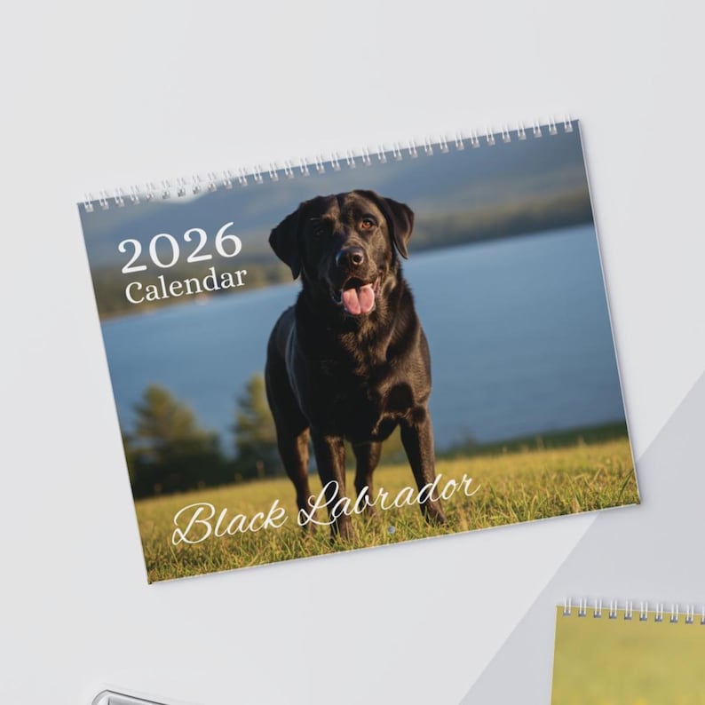 2026 Black Labrador Wall Calendar | Black Labrador Art Print | 12 Month ...