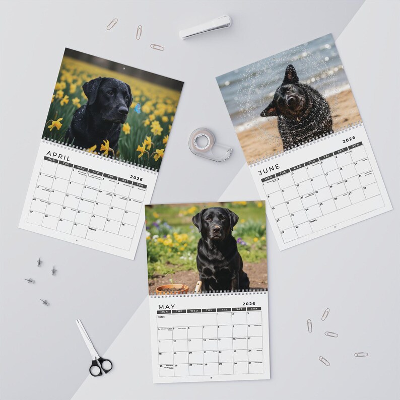 2026 Black Labrador Wall Calendar | Black Labrador Art Print | 12 Month ...