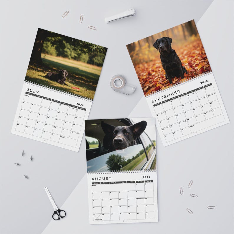 2026 Black Labrador Wall Calendar | Black Labrador Art Print | 12 Month ...