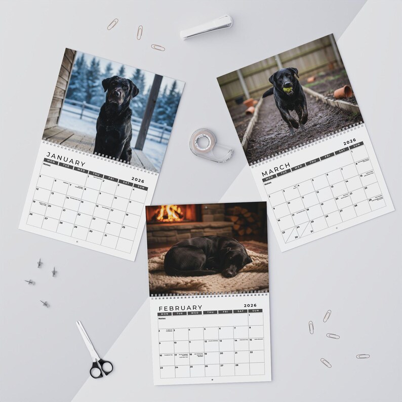 2026 Black Labrador Wall Calendar | Black Labrador Art Print | 12 Month ...