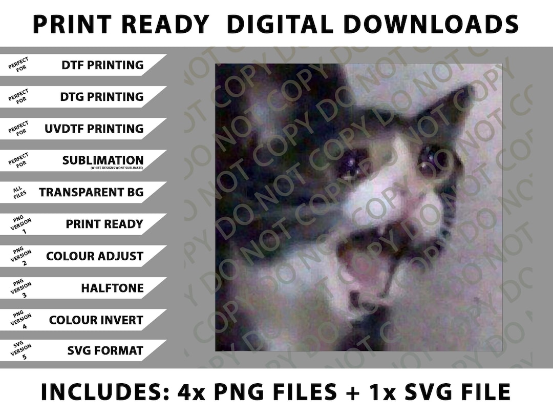 Sad Cat Screaming Meme Funny Internet Viral Joke Pun Gift Png Bundle ...