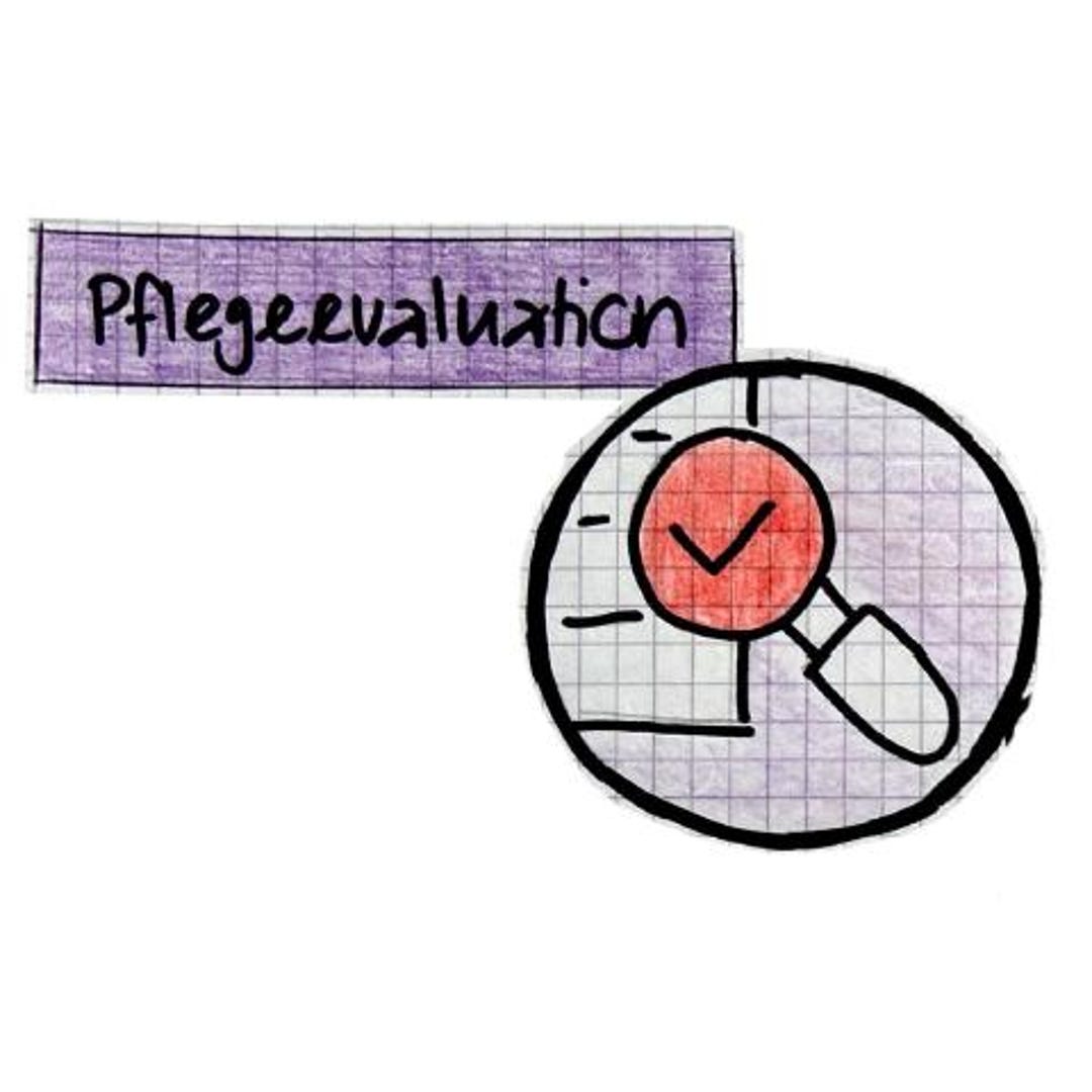 06 Evaluation; Nursing Process – Visual Learning Overview (print ...