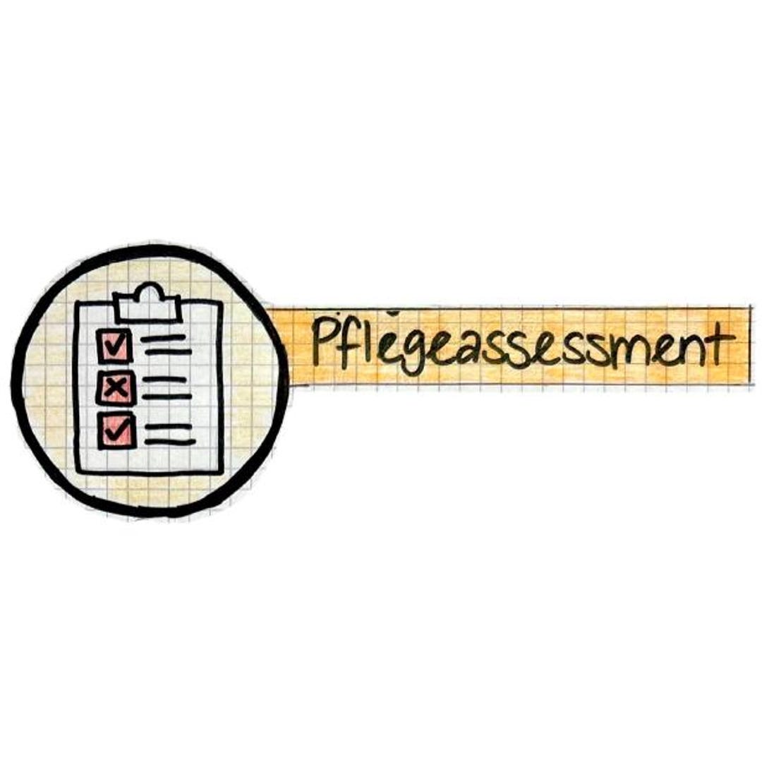 01 A Nursing Assessment; Nursing Process – Visual Learning Overview ...