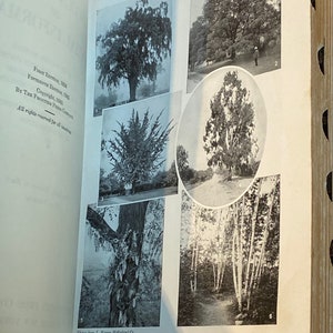 Sale ! Lincoln Library of Essential Information First Edition 1924 1945 ...
