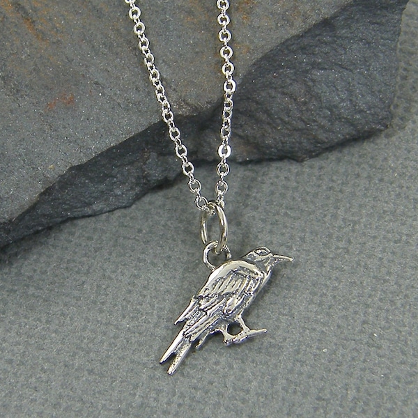 Raven Necklace - Etsy