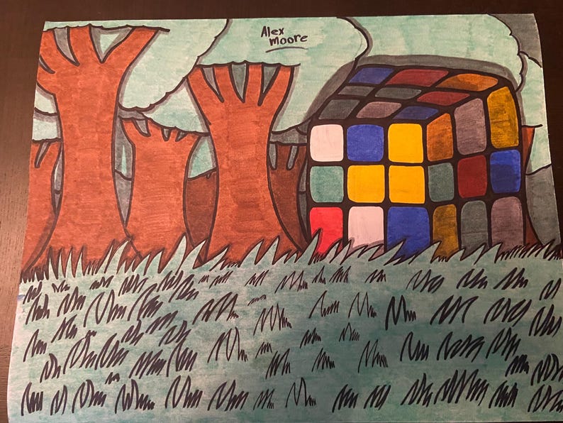 Rubik’s Cube in Nature - Etsy