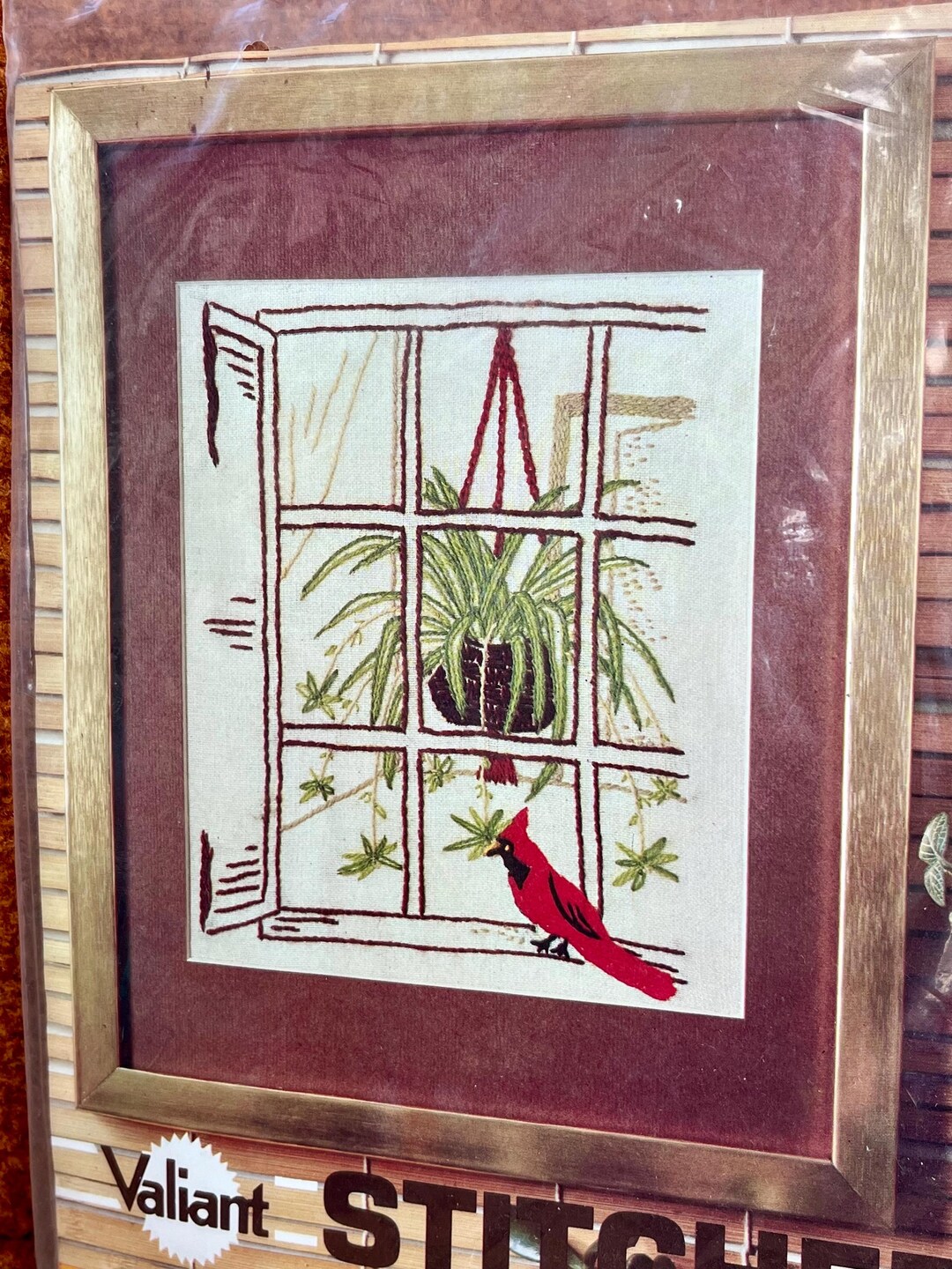 Vintage Valiant Spider Plant Embroidery Kit - Etsy