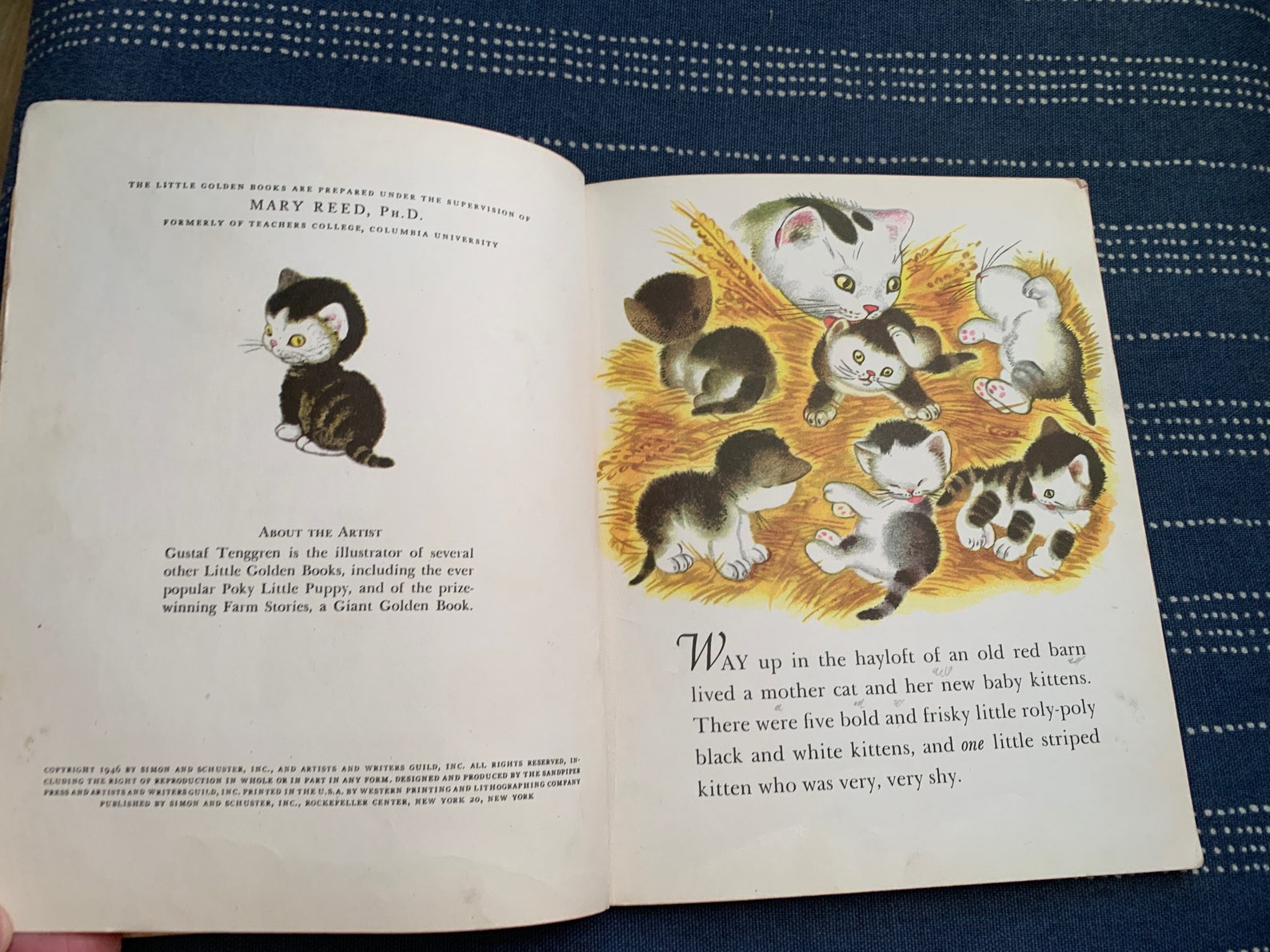 The Shy Little Kitten. Little Golden Book E Edition - Etsy