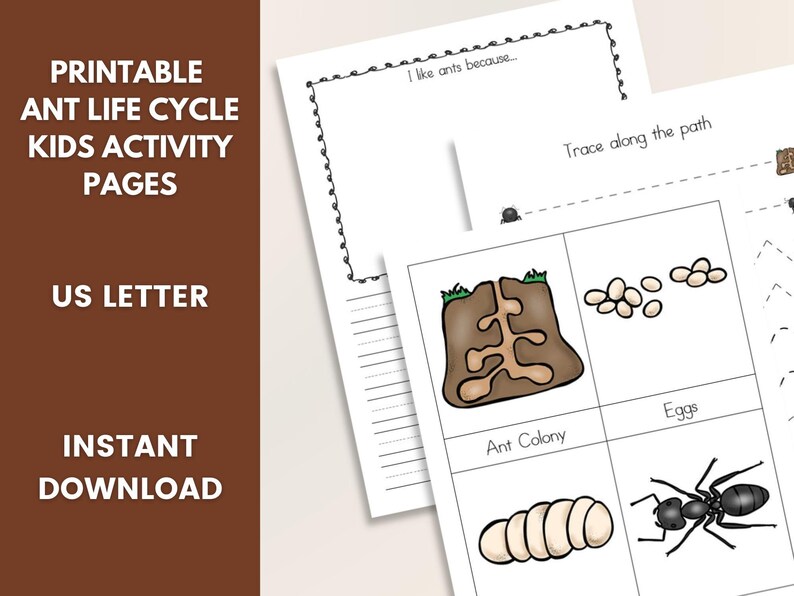 Ant Life Cycle Unit Study, Ant Worksheets, Insect Life Cycle Printable ...