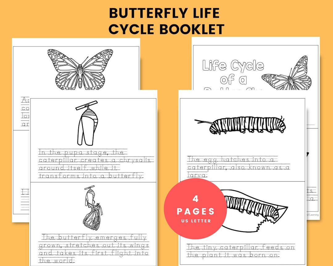 Butterfly Life Cycle Booklet Printable, Life Cycle of a Butterfly ...