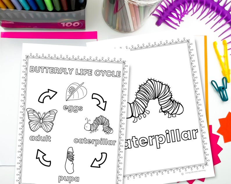 Butterfly Life Cycle Coloring Pages, Printable Science Worksheet, Kids ...